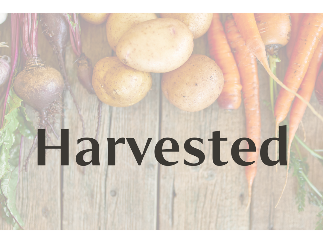 Local Produce Saskatchewan | SaskMade Marketplace