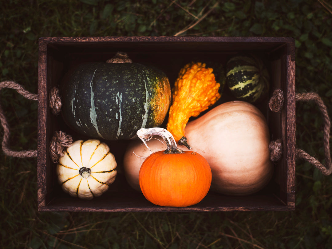 Local Produce Saskatchewan | SaskMade Marketplace